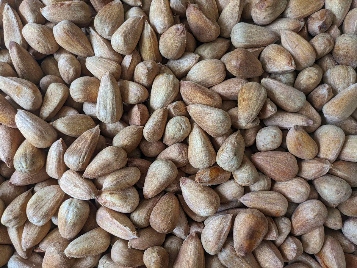 Naturally Native | Freeze-Dried Australian Native Fruits and Powders